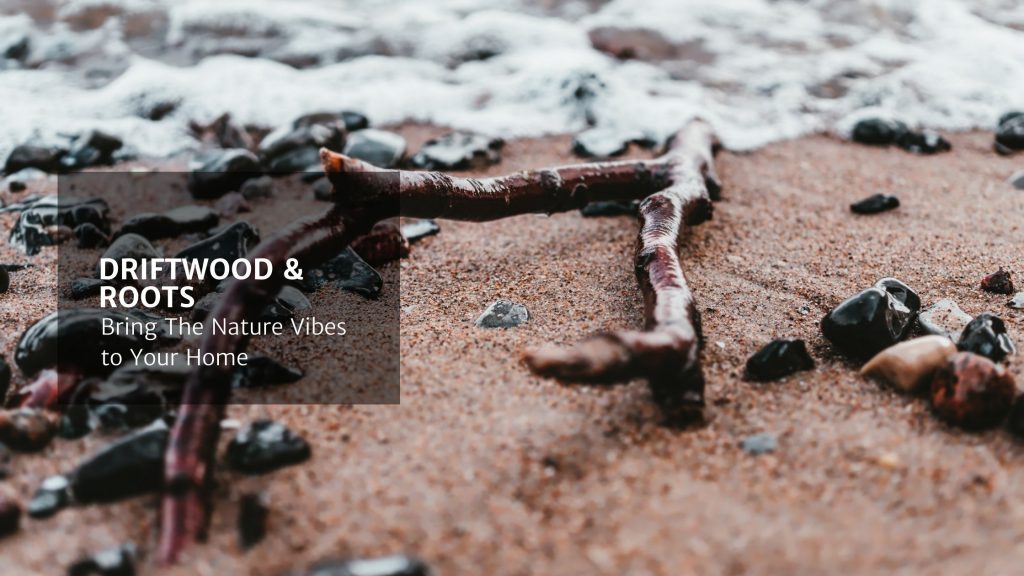 Driftwood & Roots – Aqualeisure